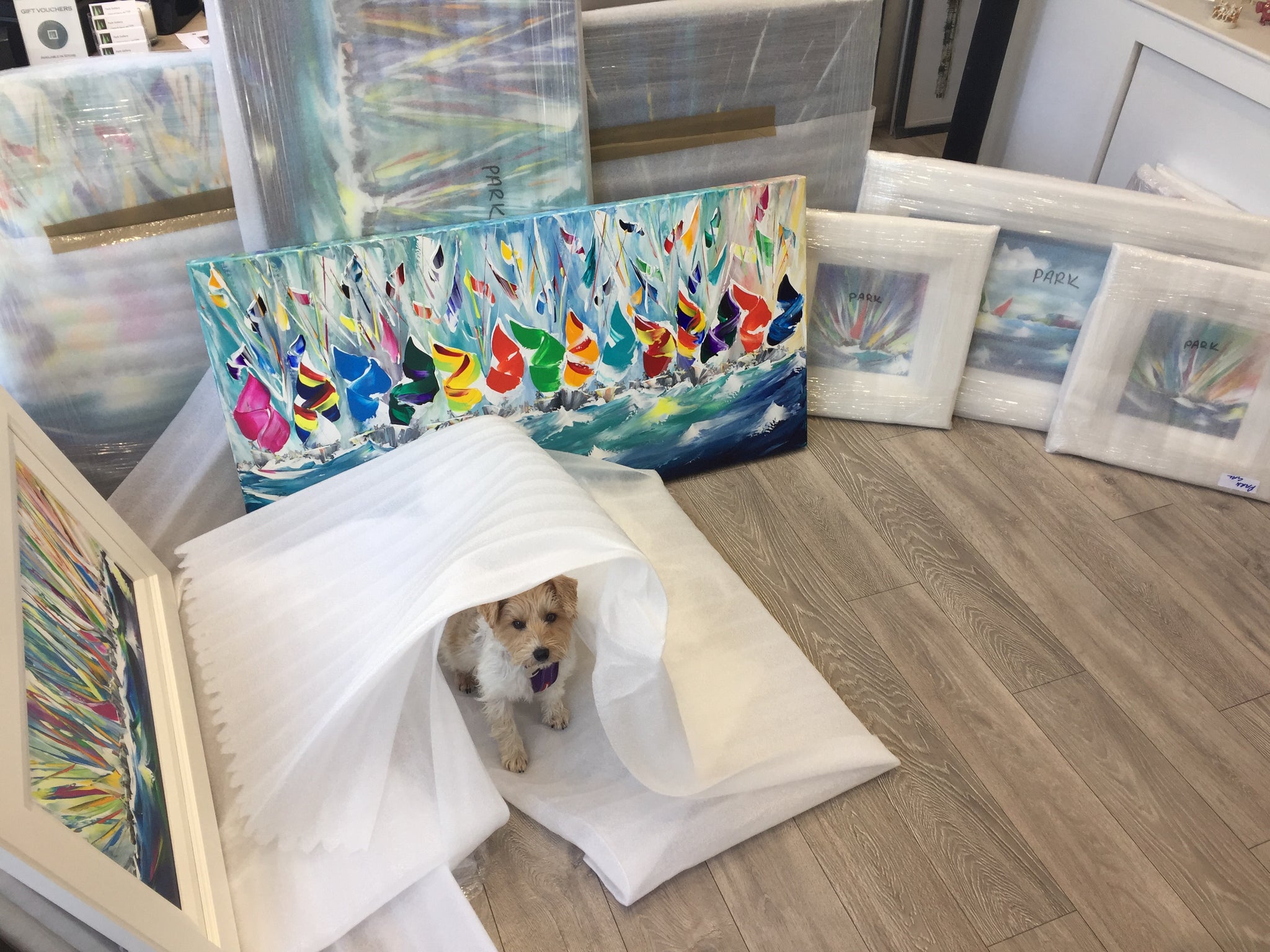 New Jan Nelson Collection Arrives! – Park Gallery Cheltenham