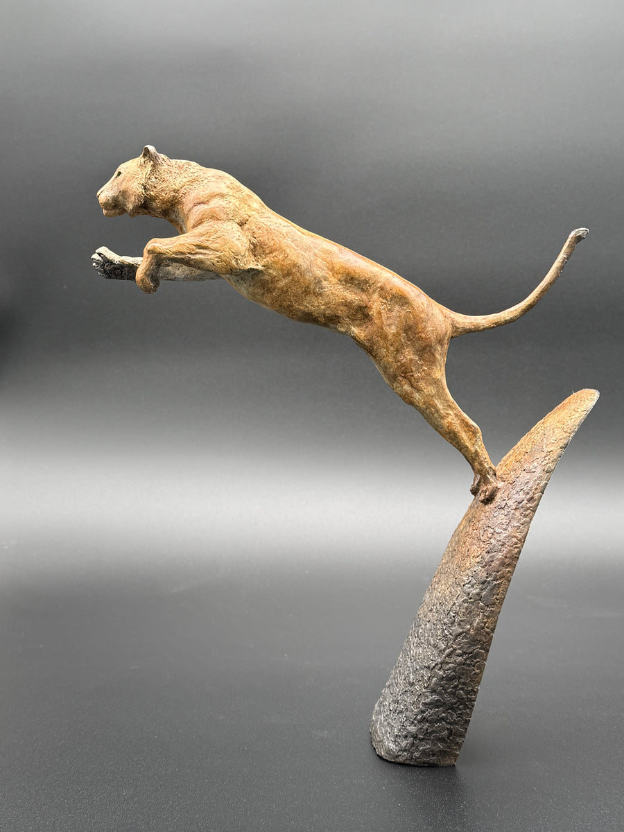 Leaping Tiger – Park Gallery Cheltenham