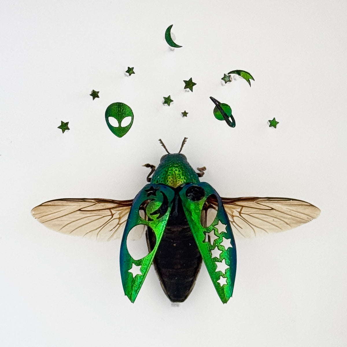 Space Oddity 16 – Park Gallery Cheltenham