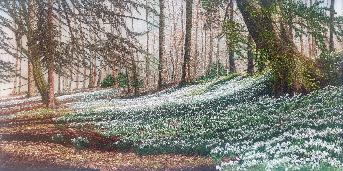Snowdrop Walk – Park Gallery Cheltenham