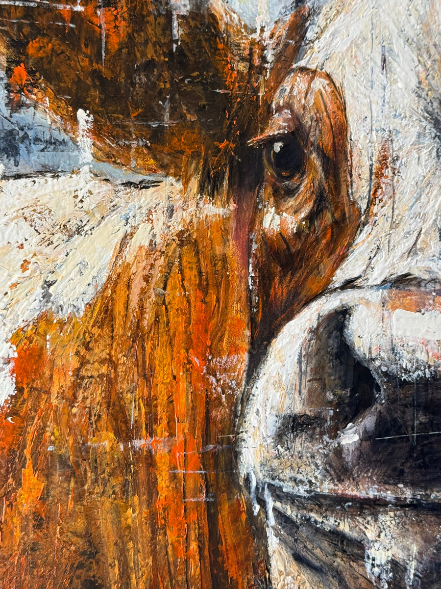 It's a Cow's Life – Park Gallery Cheltenham