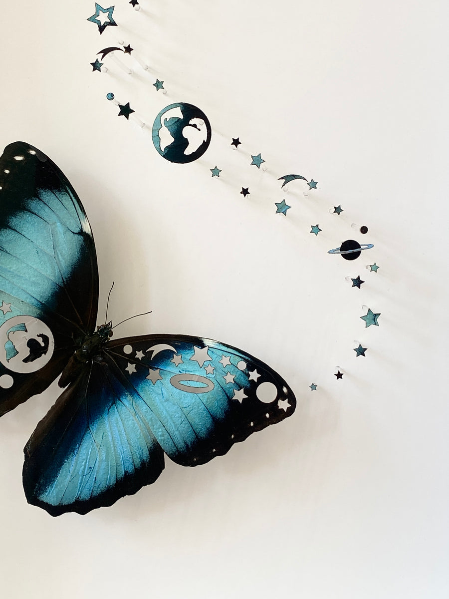 Starry Flight 2 – Park Gallery Cheltenham