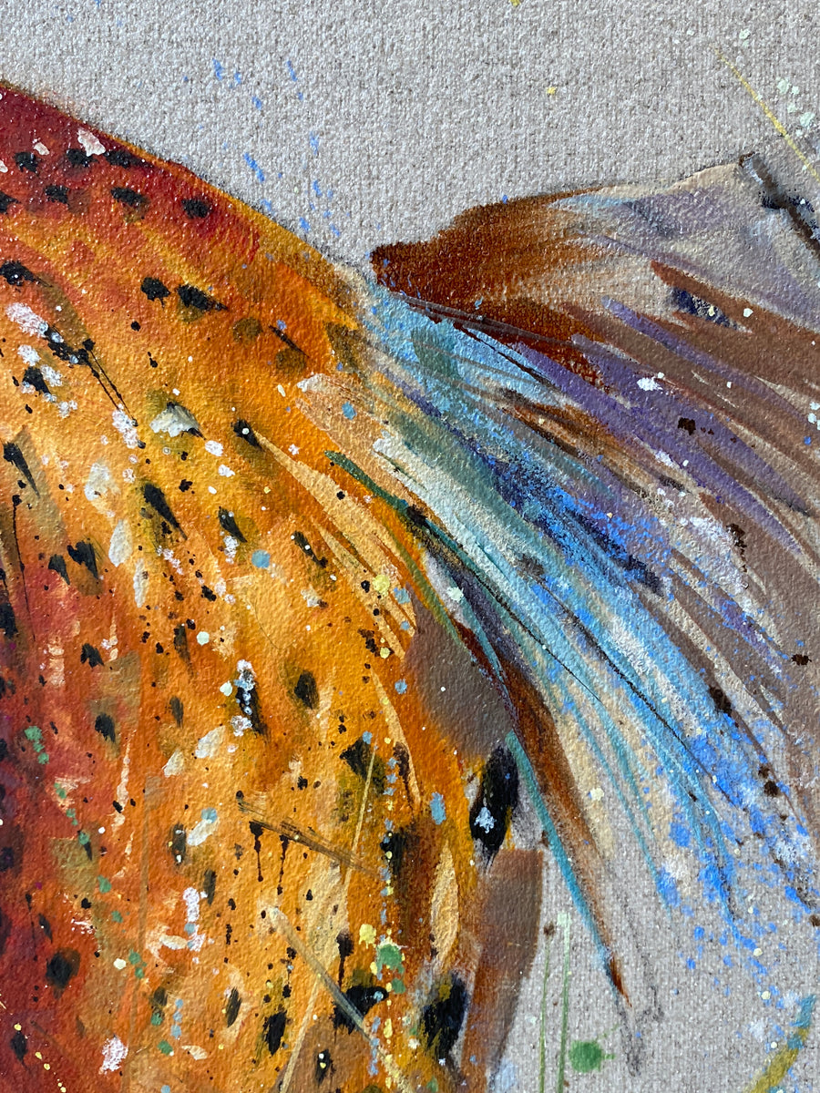 Glorious – Park Gallery Cheltenham