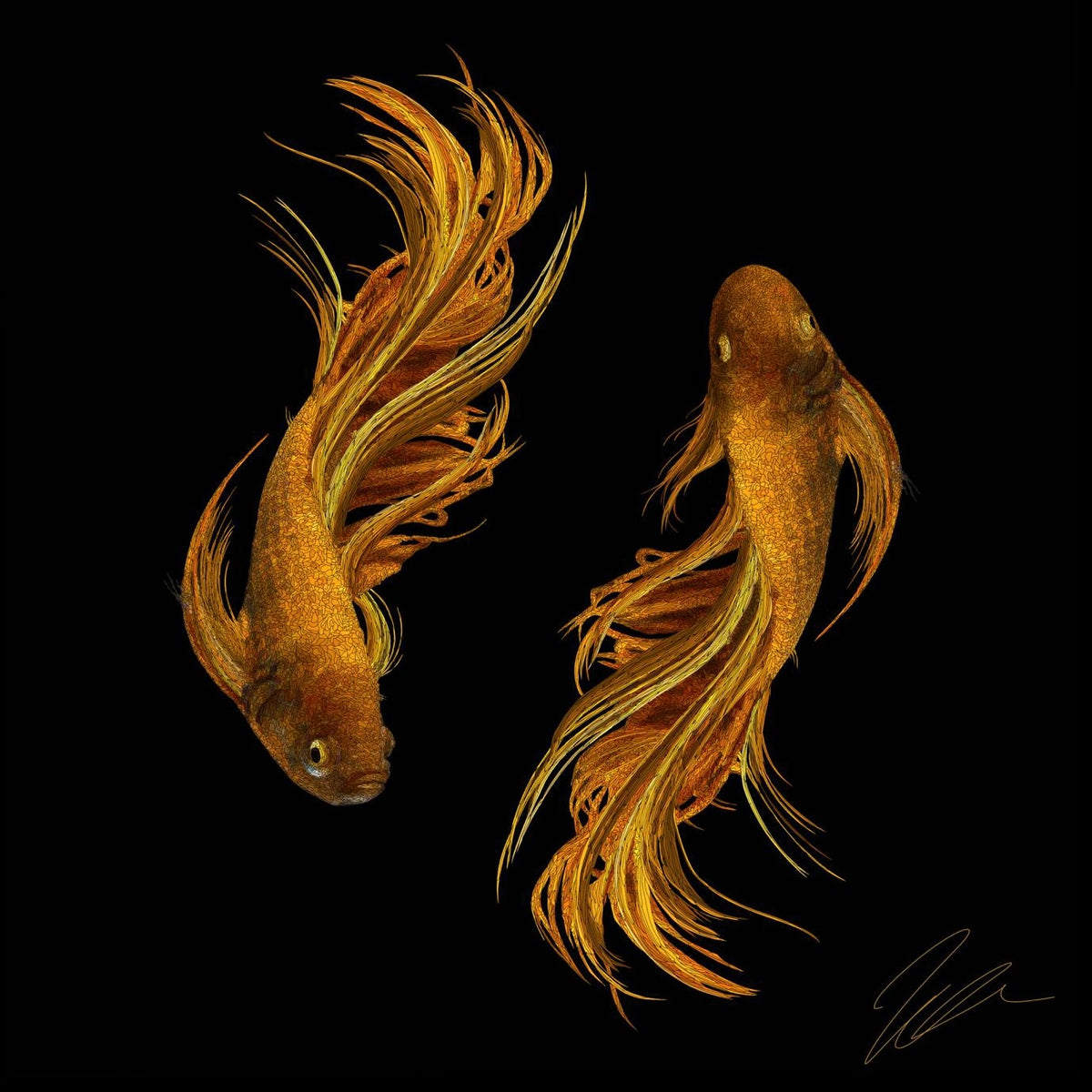 Golden Siamese – Park Gallery Cheltenham