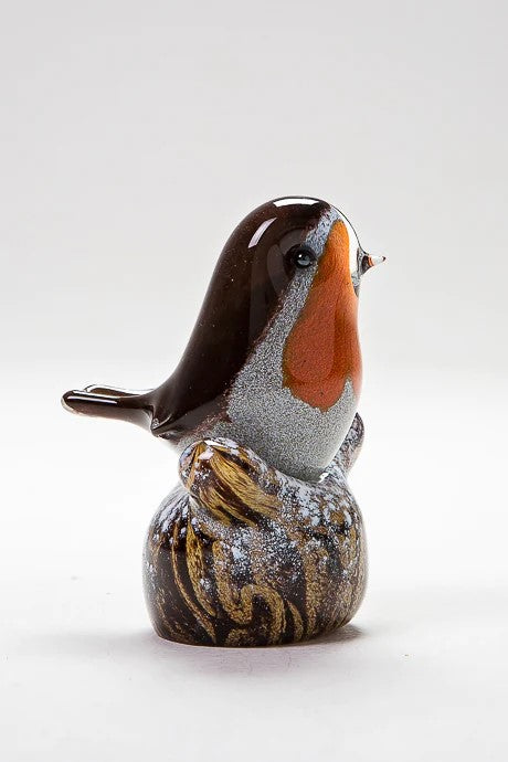 Winter Robin – Park Gallery Cheltenham