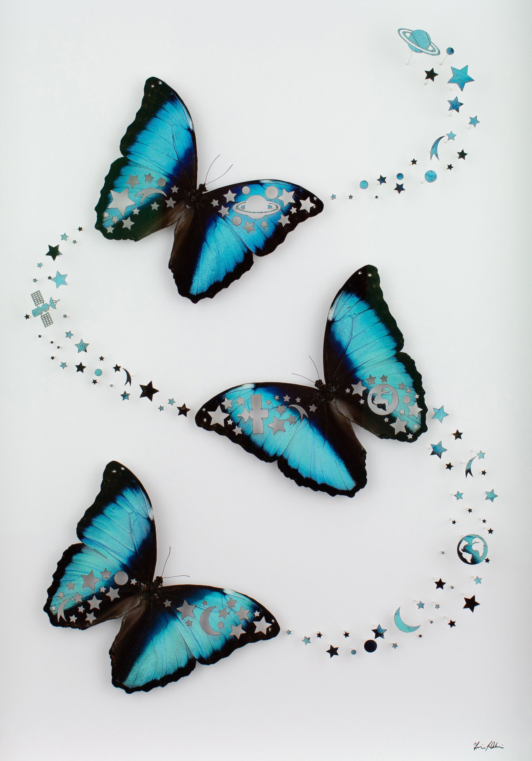 Starry Flight – Park Gallery Cheltenham