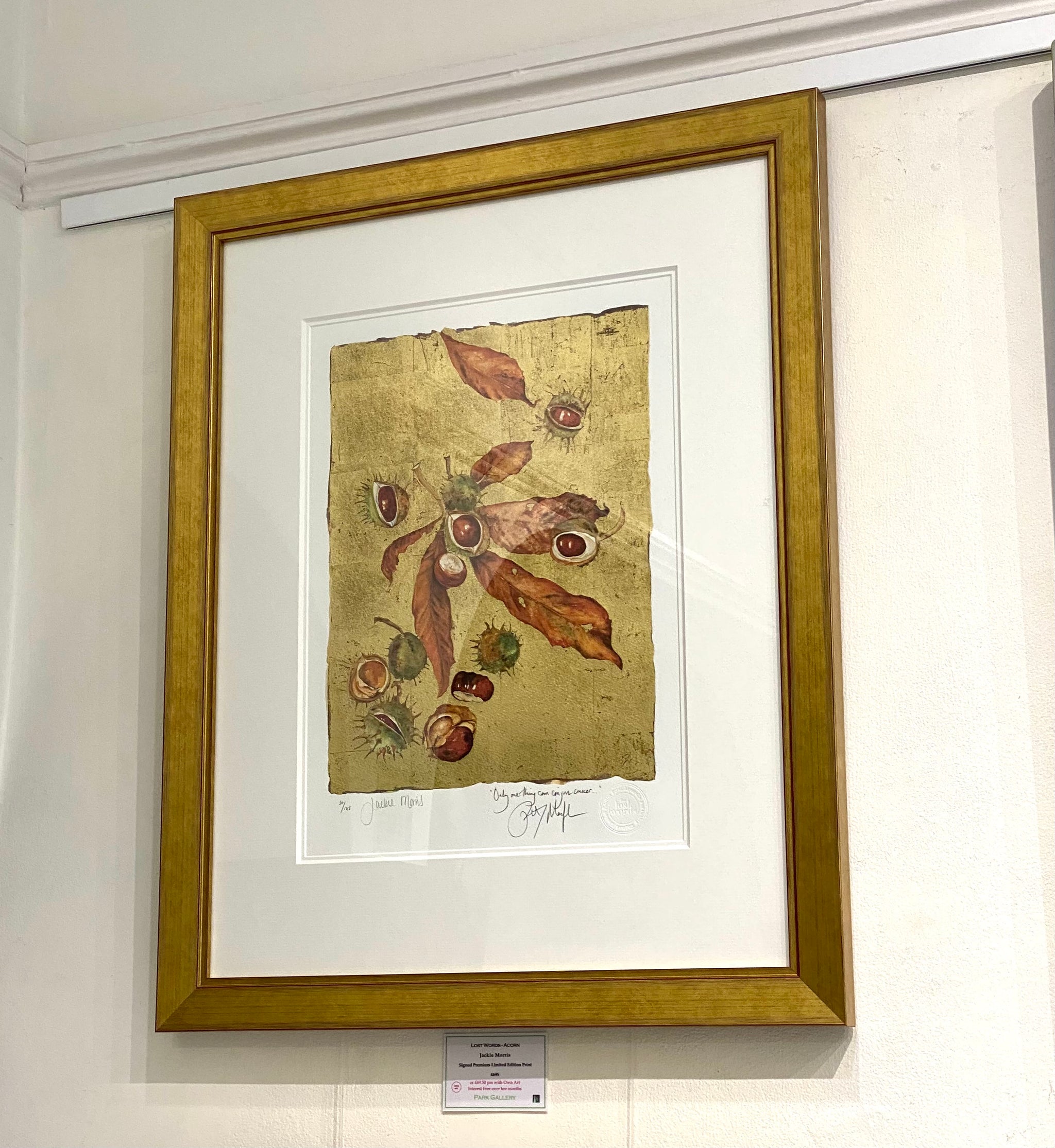 Jackie Morris - The Lost Words 'Conker', Framed Premium Edition Print ...