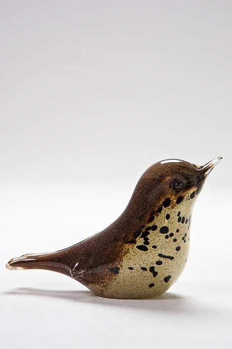 Thrush – Park Gallery Cheltenham