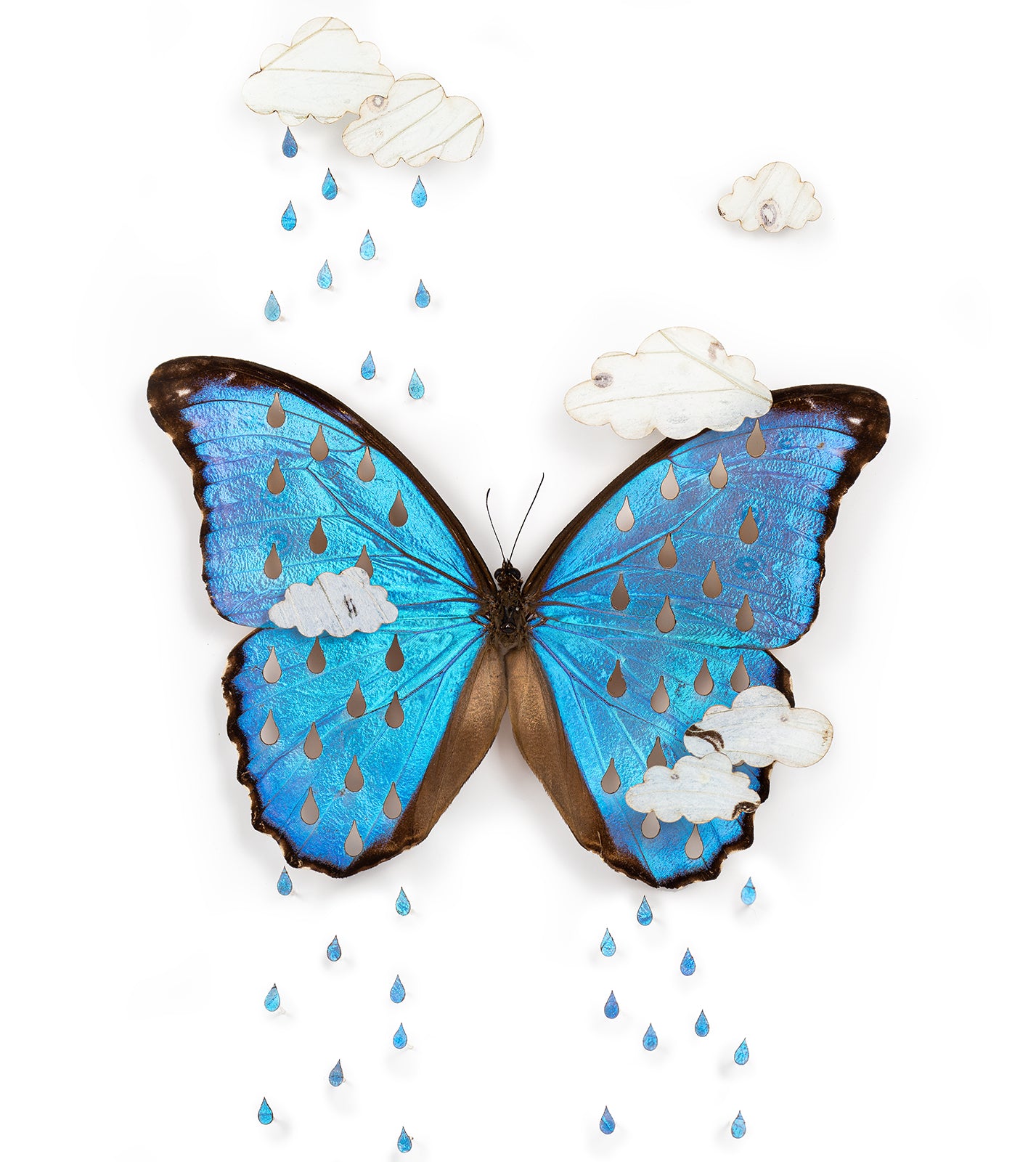 Weathervein – Park Gallery Cheltenham